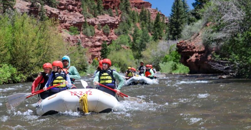 Telluride 1 Day Rafting Trip with Lunch - San Miguel River - The Value of the Experience