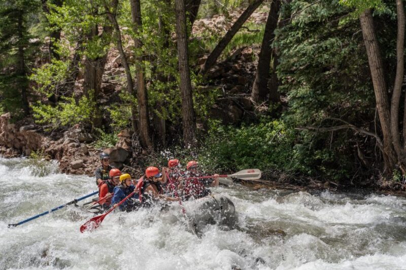 Telluride 1 Day Rafting Trip with Lunch - San Miguel River - FAQ