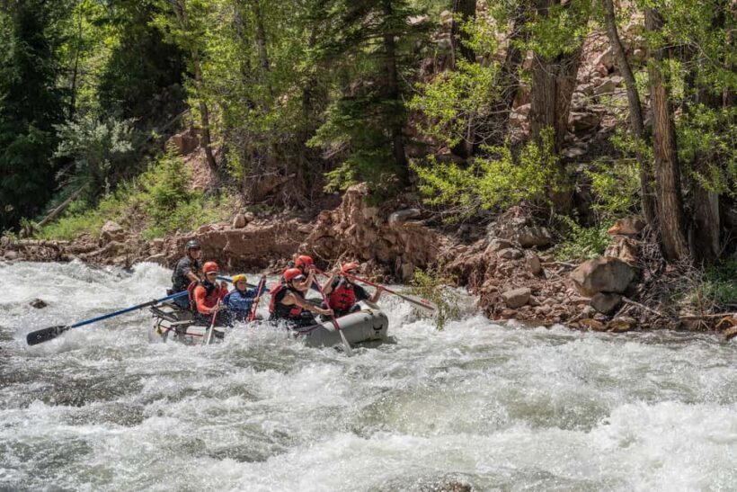 Telluride 1 Day Rafting Trip with Lunch - San Miguel River - An In-Depth Look at the San Miguel River Rafting Trip