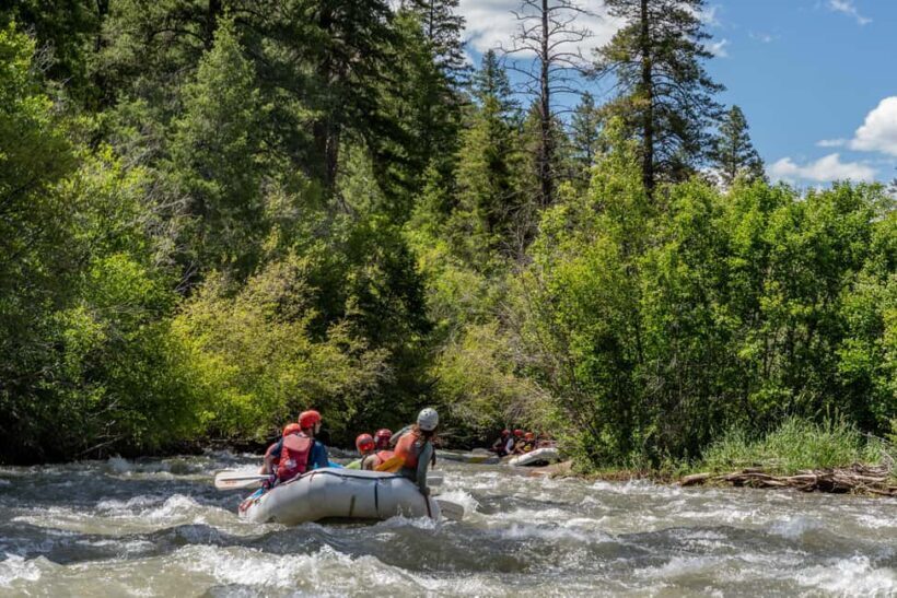 Telluride 1 Day Rafting Trip with Lunch - San Miguel River - Who Will Love This Trip?