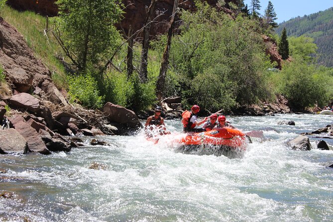 Telluride 1 Day Rafting Trip with Lunch - San Miguel River - The Itinerary: What to Expect Each Step of the Way