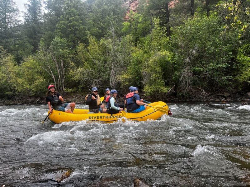 Telluride: Half-Day Rafting on the San Miguel River - Key Points
