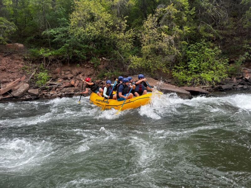 Telluride: Half-Day Rafting on the San Miguel River - The Guides and Safety