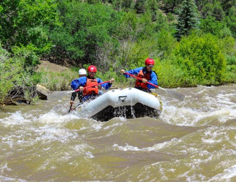 Telluride Morning Half Day Rafting Trip - San Miguel River - What to Expect: The Experience in Detail