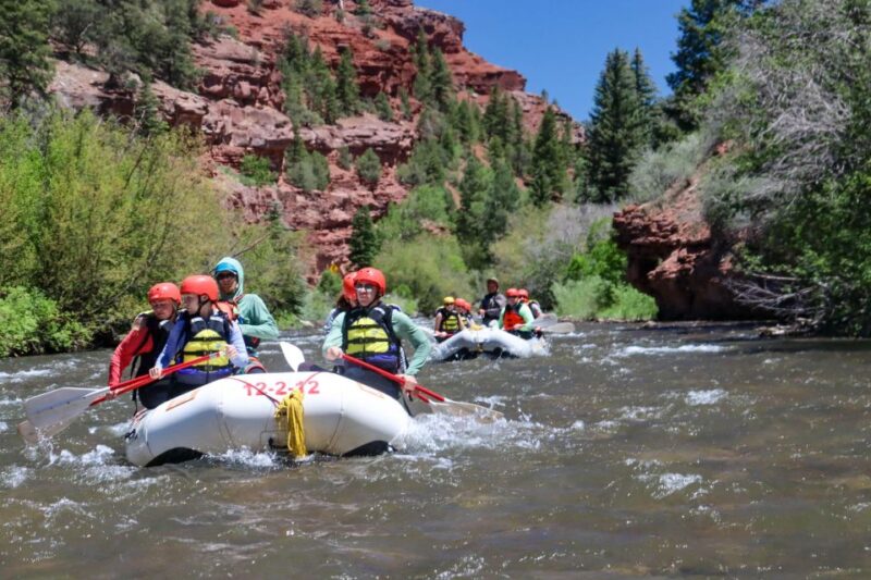 Telluride Morning Half Day Rafting Trip - San Miguel River - The Sum Up