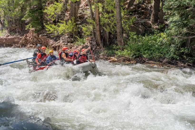 Telluride Morning Half Day Rafting Trip - San Miguel River - Key Points