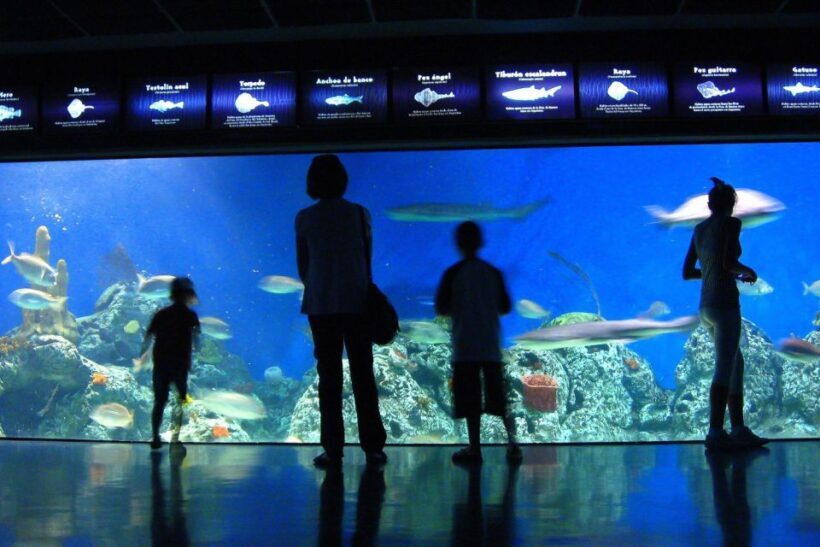 Temaiken Biopark Entry Tickets - What You’ll See and Experience