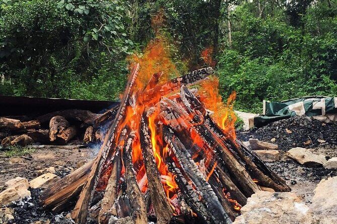 Temazcal Experience in Tulum Alternative Medicine Maya Heritage - Value and Pricing