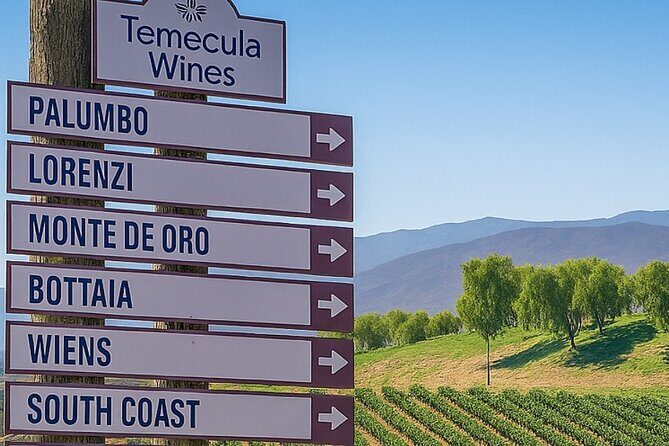 Temecula Uncorked: A Self-Guided Driving Tour of its Wineries - The Itinerary and What to Expect