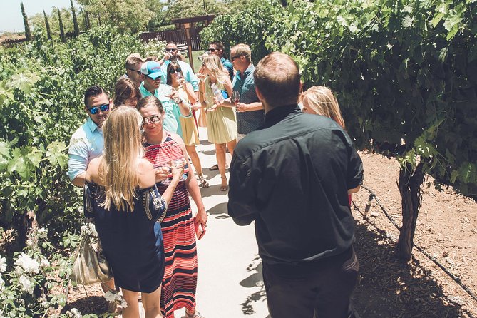 Temecula Valley Afternoon Wine Tour With Tastings and Cheeseboard - Whats Included in the Tour