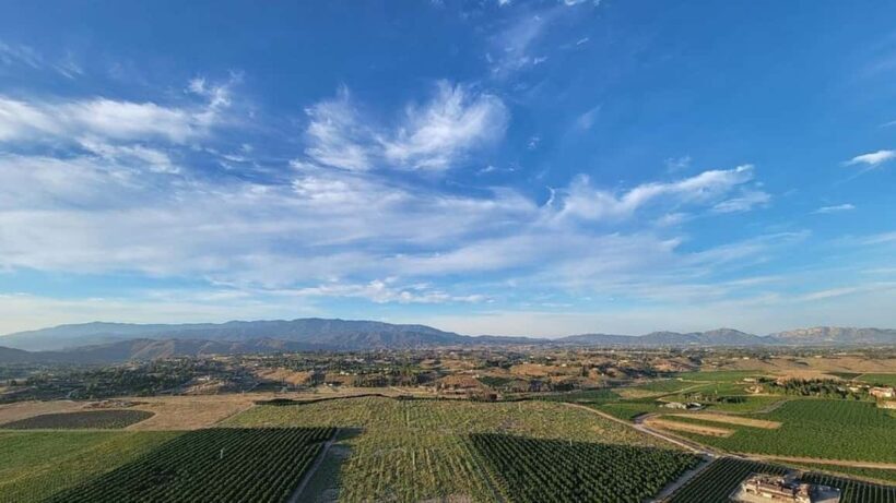 Temecula Valley: Sunrise Hot Air Balloon Ride with Champagne - Who Should Consider This Tour?