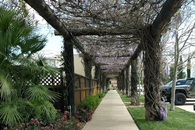Temecula Valley Wineries and Vineyards Drink and Taste Tour From Orange County - Pricing and Value