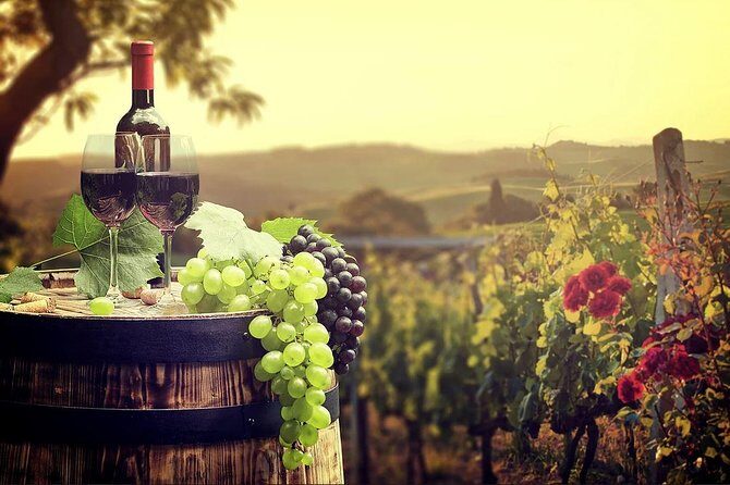 Temecula Wine Country Tour from San Diego - An In-Depth Look at the Tour Itinerary