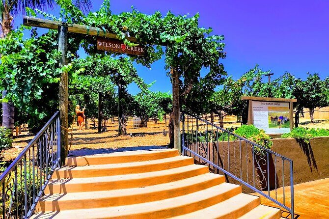 Temecula Wine Tour from Los Angeles - A Closer Look at the Temecula Wine Tour