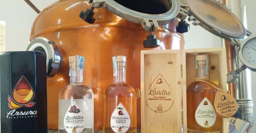 Tempio Pausania: Visit a Distillates Workshop with Tasting - Final Thoughts: Is It Worth Your Time?
