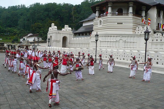 Temple of the Tooth & Royal Botanical Gardens Tour - What to Expect from the Itinerary