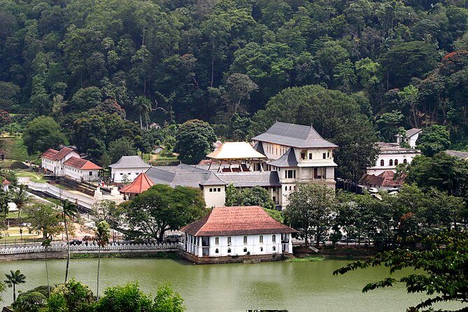 Temple Run Tour from Kandy - The Convenience of Private Transport and Personal Guides
