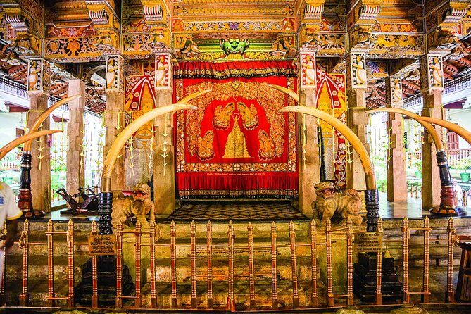 Temple Run Tour from Kandy - What Past Travelers Say