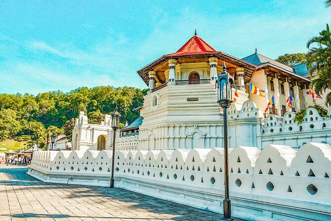Temple Run Tour from Kandy - Final Thoughts: Is It Worth It?
