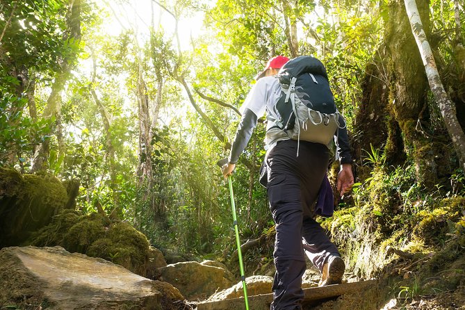 Templer Park and Kanching Waterfall Tour with Batu Caves Stopover - Final Thoughts: Who Is This Tour For?
