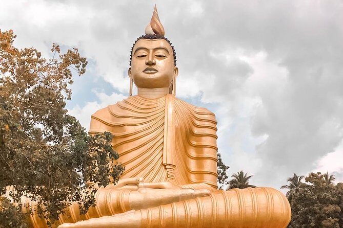 Temples and Wilderness from Negombo (2 Days) - Exploring Sri Lanka’s Temples and Wilderness in Just Two Days