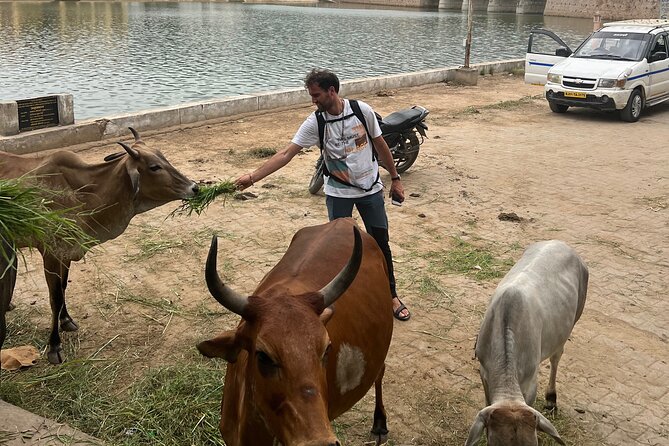Temples Walk around 52 Ghats ( Spiritual Tour )-The Pushkar Route - Logistics, Cost, and Overall Value