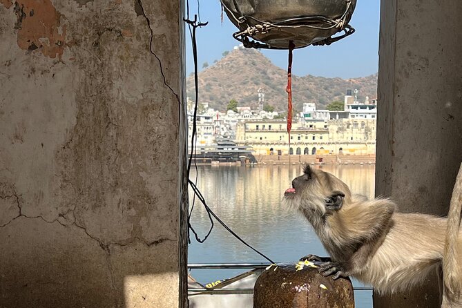 Temples Walk around 52 Ghats ( Spiritual Tour )-The Pushkar Route - What Travelers Say