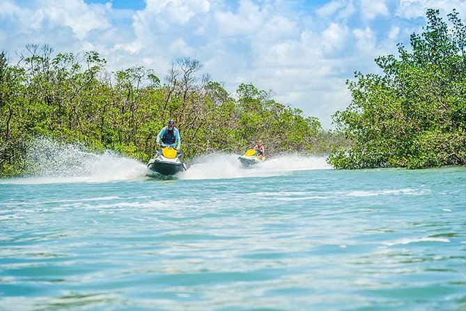 Ten Thousand Island Jet Ski Eco Tour - Marco Island - Who Will Love This Tour?