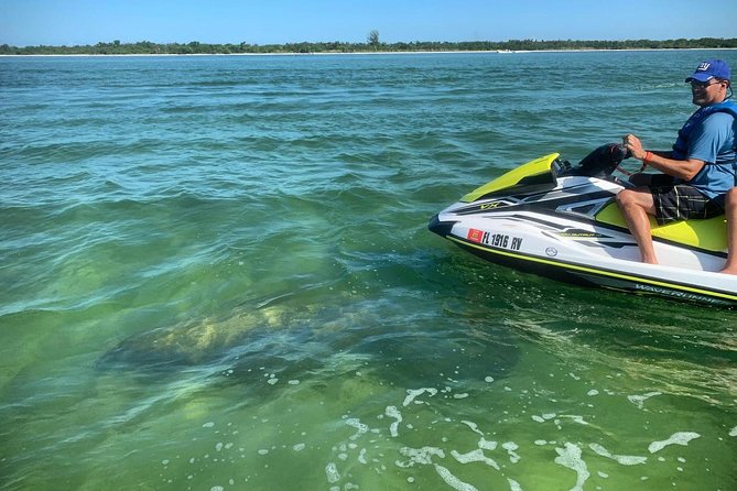 Ten Thousand Island Jet Ski Eco Tour - Marco Island - The Sum Up