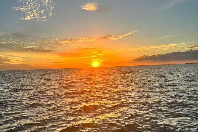Ten Thousand Islands Sunset, Beach and Eco Tour - Final Thoughts