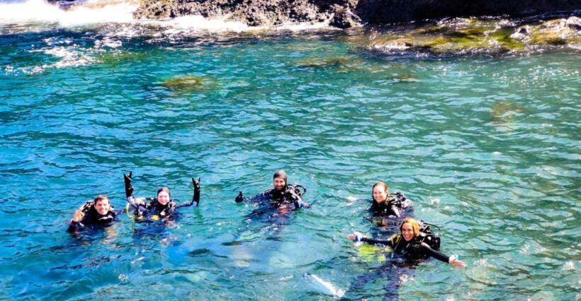 Tenerife: 2-Dive Private Scuba Discovery Course - Tenerife: 2-Dive Private Scuba Discovery Course — A Practical Look
