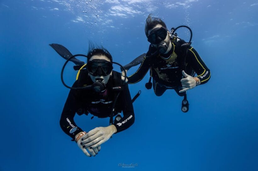 Tenerife - 2 Guided Dives for Certified Divers - Half Day - An In-Depth Look at the Tenerife Guided Diving Tour