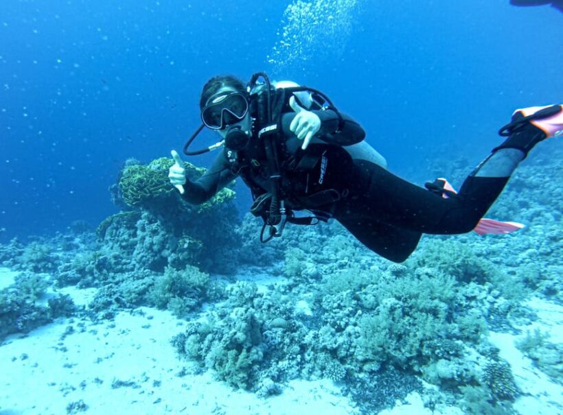 Tenerife - 2 Guided Dives for Certified Divers - Half Day - What’s Included and What’s Not