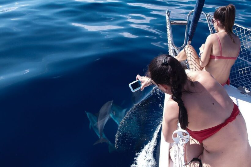 Tenerife: 3 &-6 Hour Private Whale & Dolphin Watching - Who Will Love This Tour?