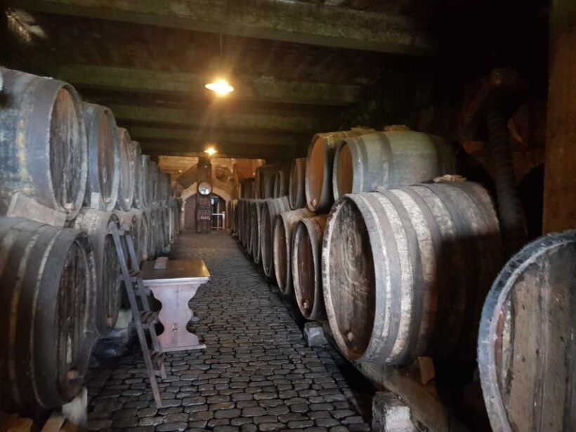 Tenerife: 4-Hour Gauchinche Food Tour - Who Should Consider This Tour?