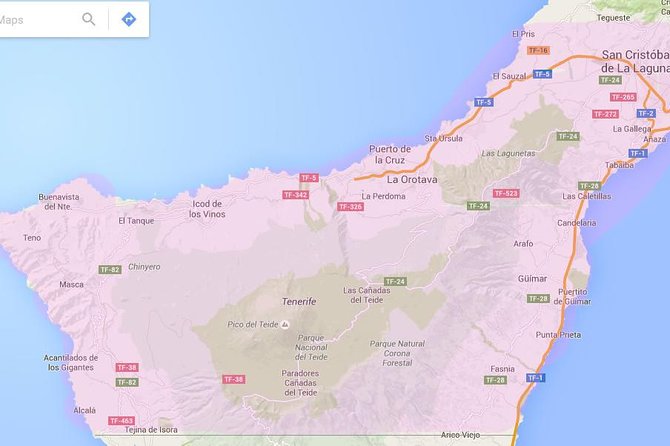 Tenerife Airport Transfer from South Airport (Reina Sofia) to North Area Hotels - Who Should Consider This Transfer?