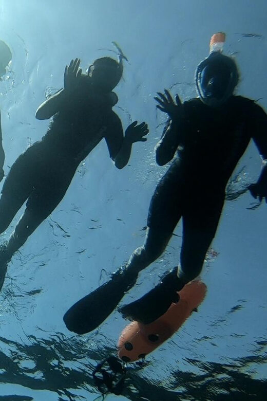Tenerife: Alcalá Guided Snorkeling Tour - Introduction