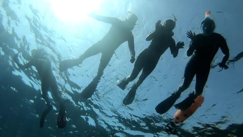 Tenerife: Alcalá Guided Snorkeling Tour - FAQ