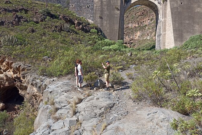 Tenerife Alternative Tour. Candelaria, Abades, Güímar - Who Is This Tour Best For?