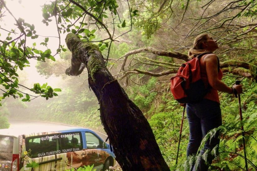 Tenerife: Anaga Rural Park Private Tour - Scenic Vistas and Mountain Slopes