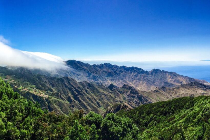 Tenerife: Anaga Rural Park Private Tour - Real Travelers’ Feedback