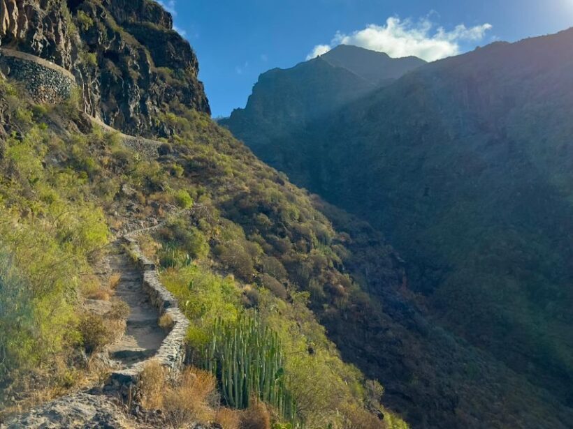 Tenerife: Barranco del Infierno Guided Hiking Tour - The Quality of Guides and Safety