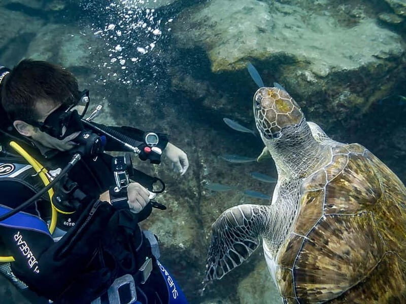 Tenerife: Beginner Scuba Diving Experience with Pickup - Why Choose This Tenerife Scuba Experience?
