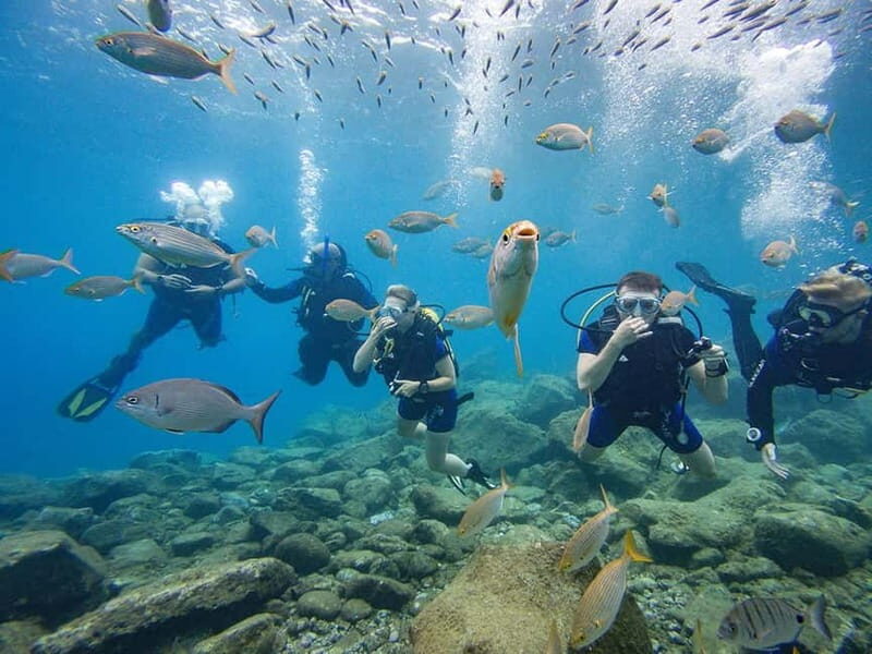 Tenerife: Beginner Scuba Diving Experience with Pickup - Whats Included & What to Bring