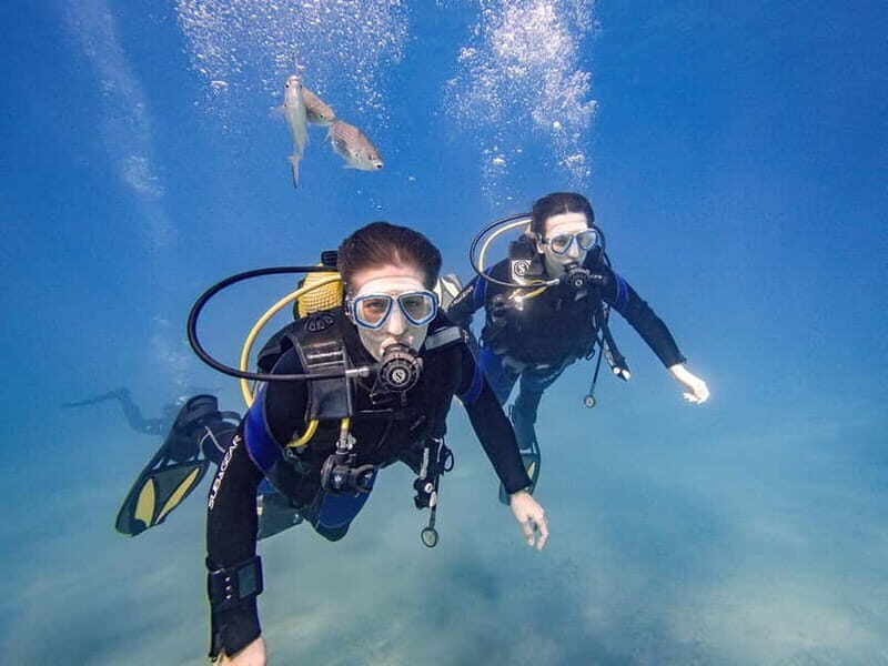 Tenerife: Beginner Scuba Diving Experience with Pickup - Practical Tips for Future Participants