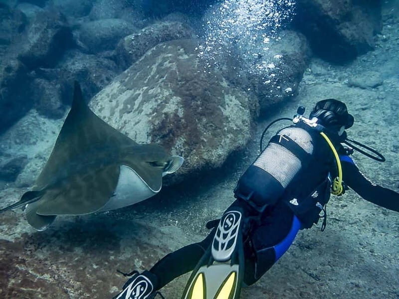 Tenerife: Beginner Scuba Diving Experience with Pickup - FAQs