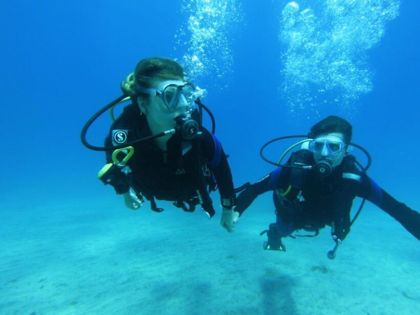Tenerife: Beginner Scuba Diving Experience with Pickup - The Sum Up