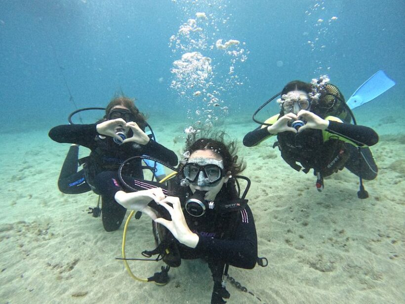 Tenerife: Beginner's Dive at a Spot with Turtle Sightings - Key Points