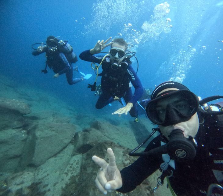 Tenerife: Beginner's Dive at a Spot with Turtle Sightings - An In-Depth Look at the Experience