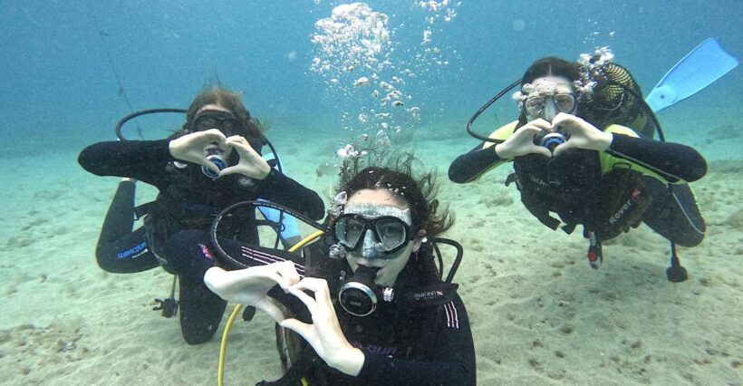 Tenerife: Beginner's Dive at a Spot with Turtle Sightings - Who Will Enjoy This Tour?